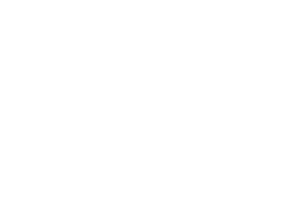 The Longbridge Story - Longbridge Financial, LLC